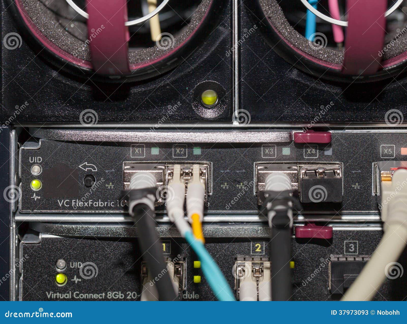 Server Blade with Optical Fiber and LAN Connection Stock Image - Image ...