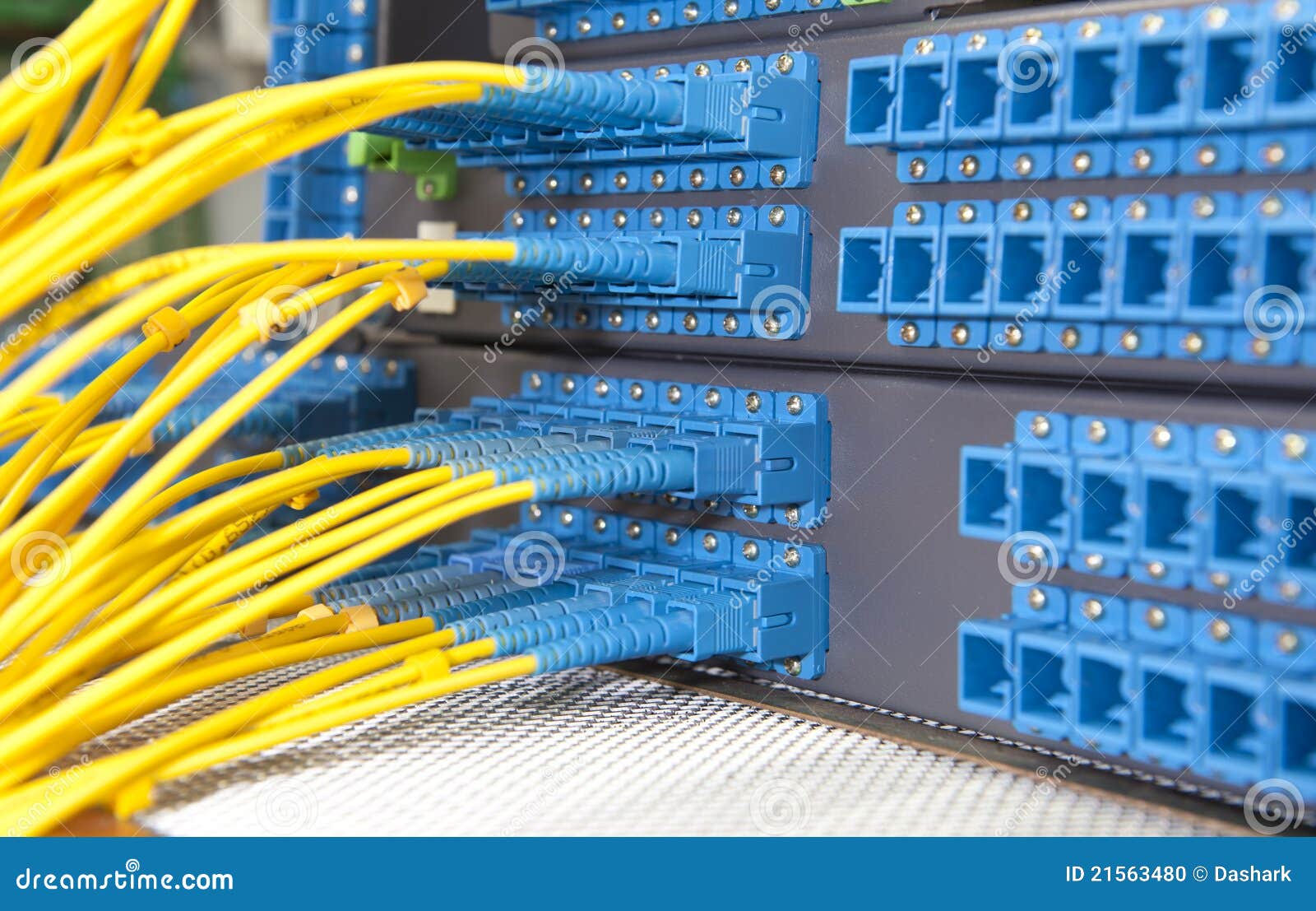 Server Della Rete Internet E Di Comunicazione Fotografia Stock ...