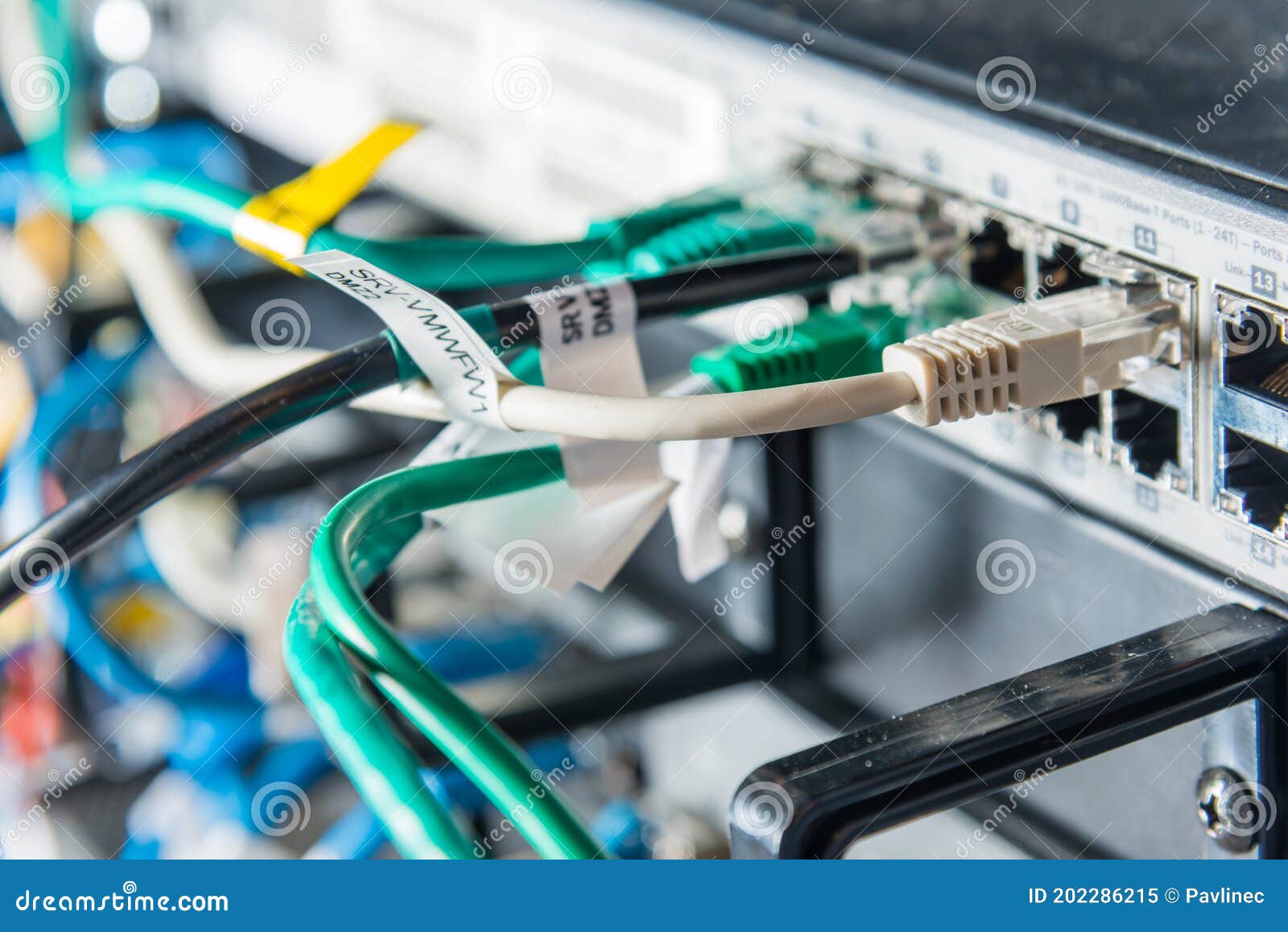 Server with Patch Cables Plugged in Ethernet Ports Stock Image - Image ...