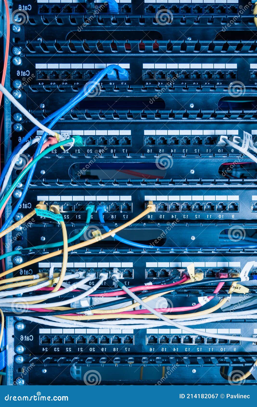 Server with Patch Cables Plugged in Ethernet Ports Stock Image - Image ...