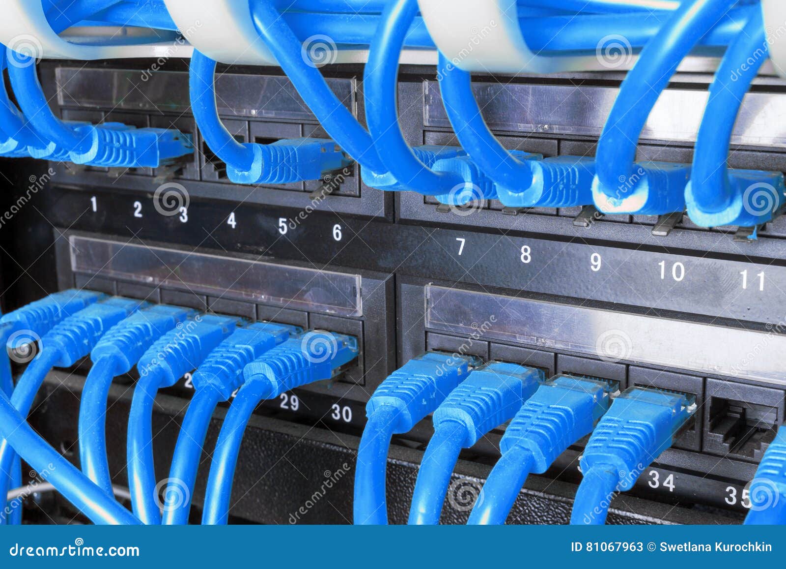 Server Rack with Blue Cables Stock Image - Image of jack, cat5: 81067963