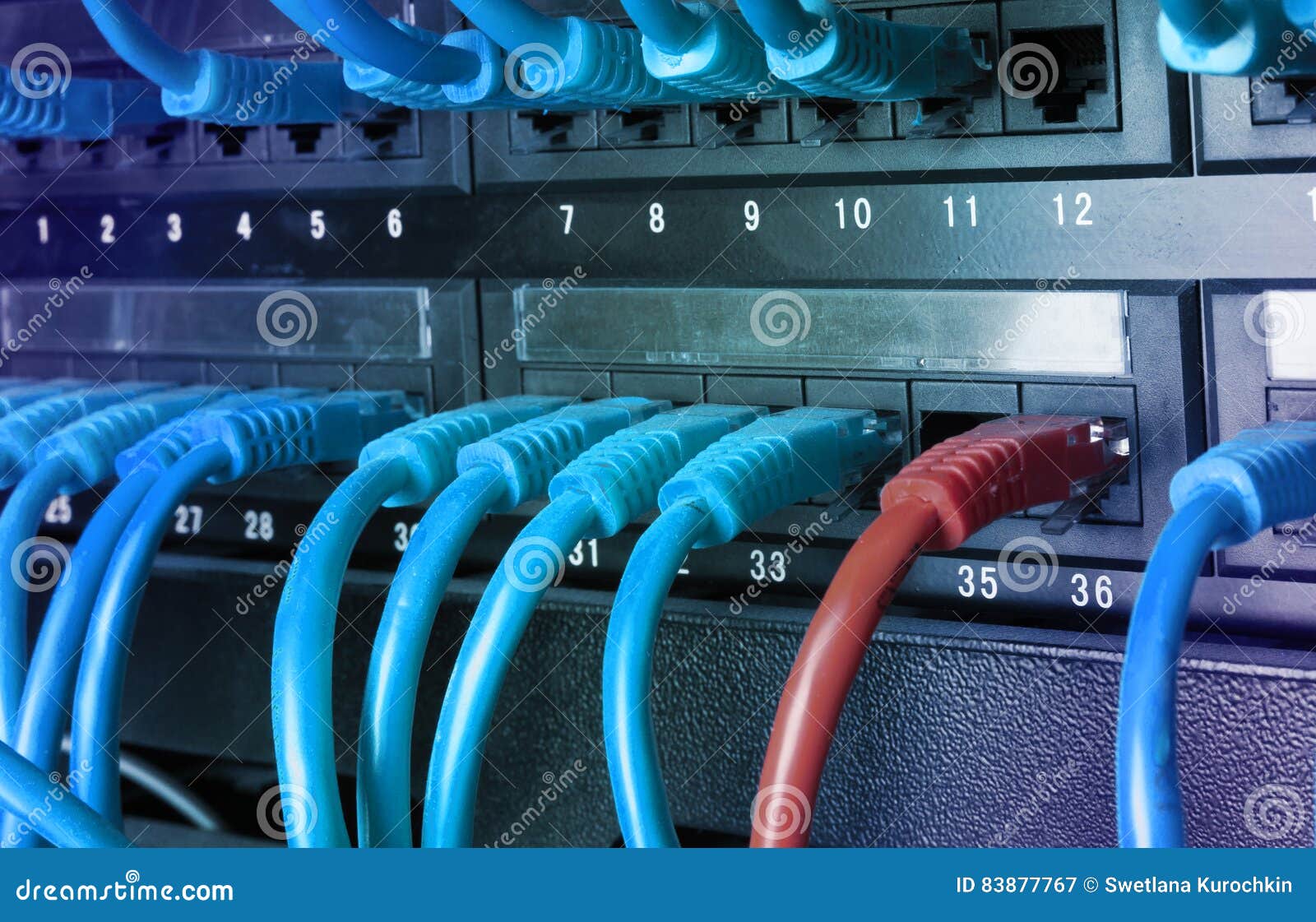 Server Rack with Blue Internet Patch Cord Cables Stock Image - Image of ...