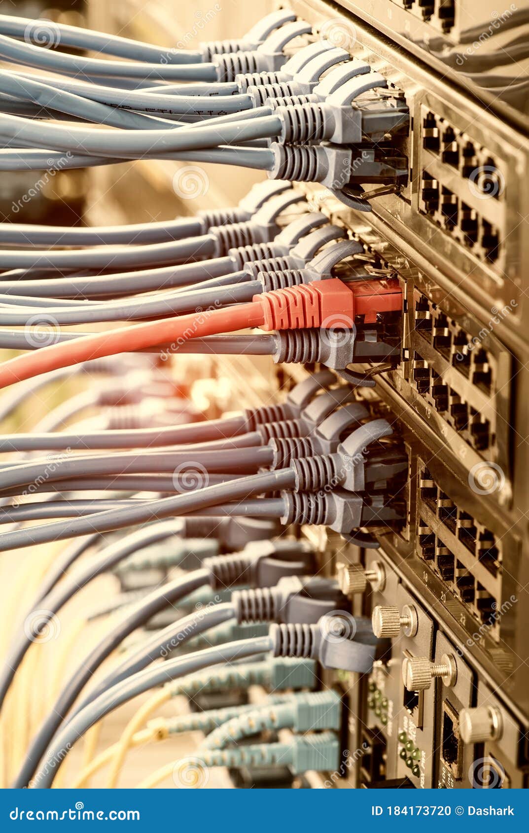 Server Rack with Blue and Red Internet Stock Photo - Image of connected ...