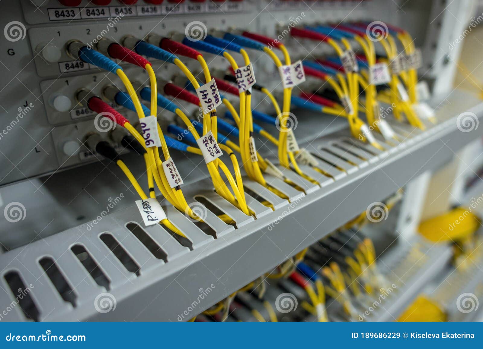 Server Rack with Red Internet Patch Cord Cables Connected To Patch ...