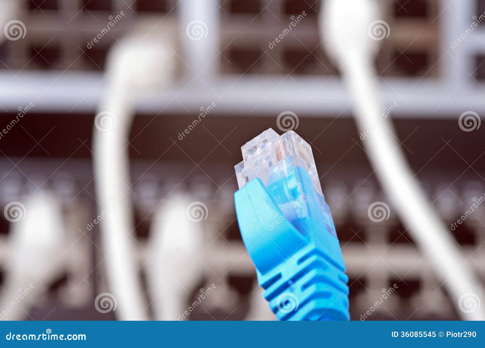 Server and wires stock image. Image of computer, internet - 36085545