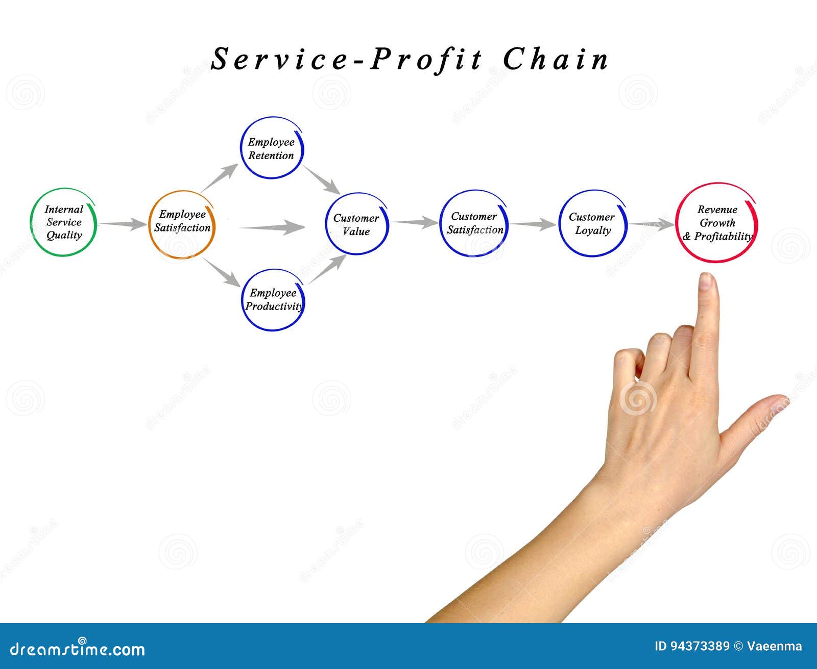 Service Profit Chain stock image. Image of management - 94373389