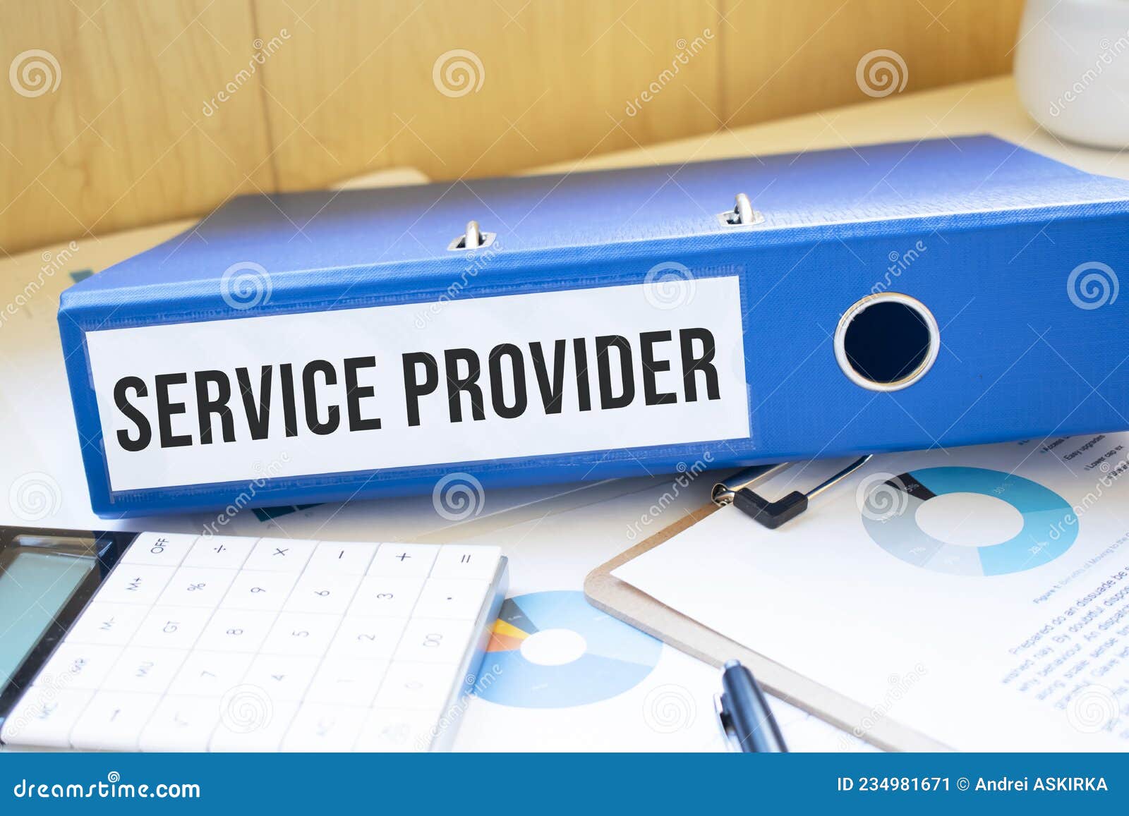 SERVICE PROVIDER Words on Labels with Document Binders Stock Image ...