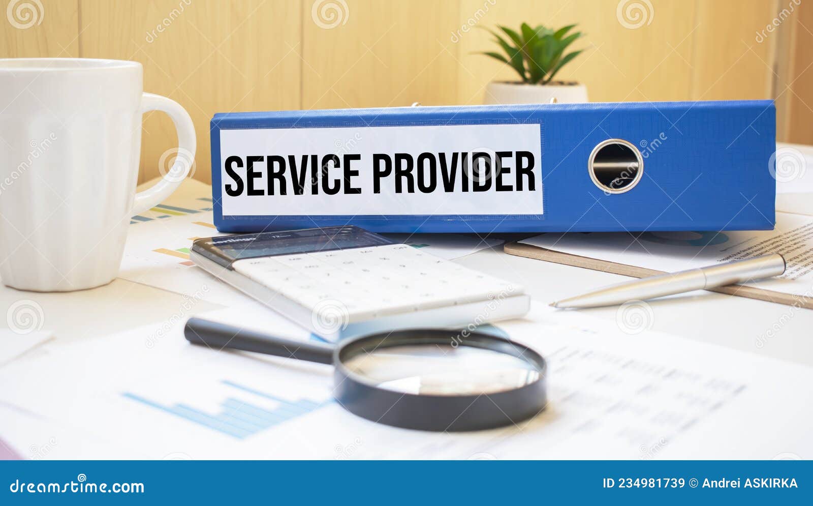 SERVICE PROVIDER Words on Labels with Document Binders Stock Image ...