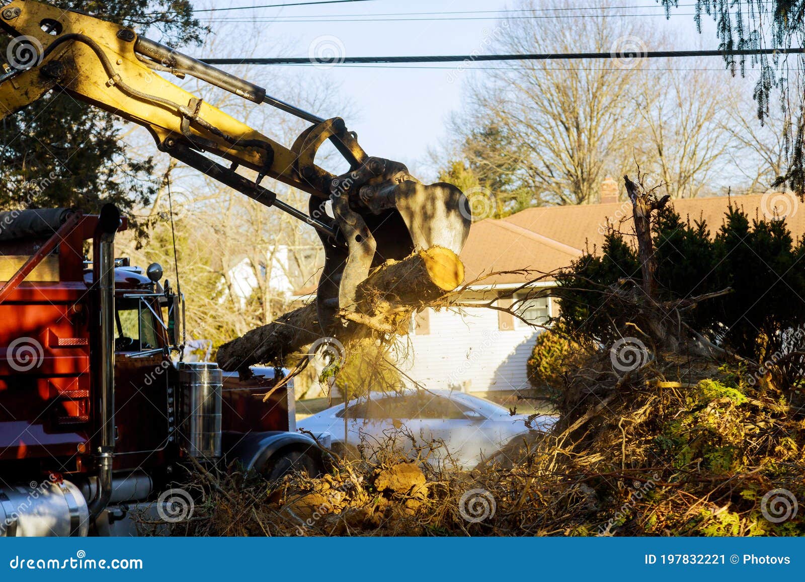 Service Removes a Tree Branches Stacked on Ground with Special Tractor ...