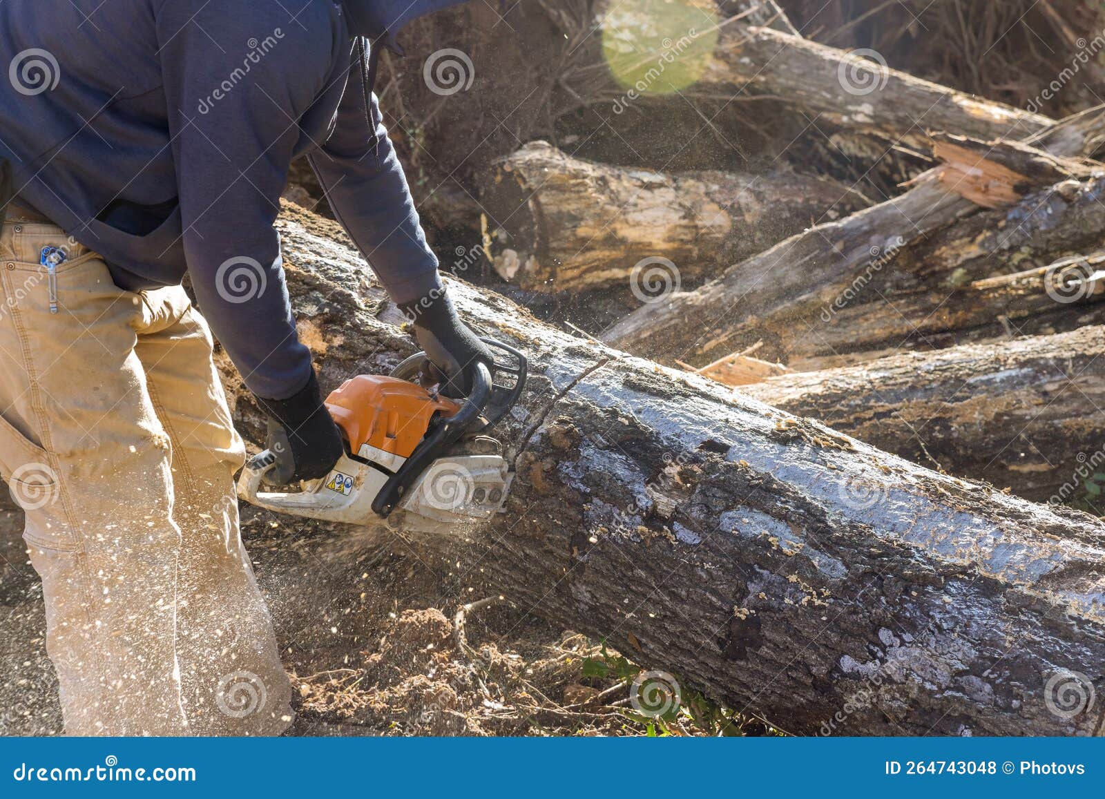 The Services Worker is Using a Chainsaw To Cut Down Trees, Resulting in ...