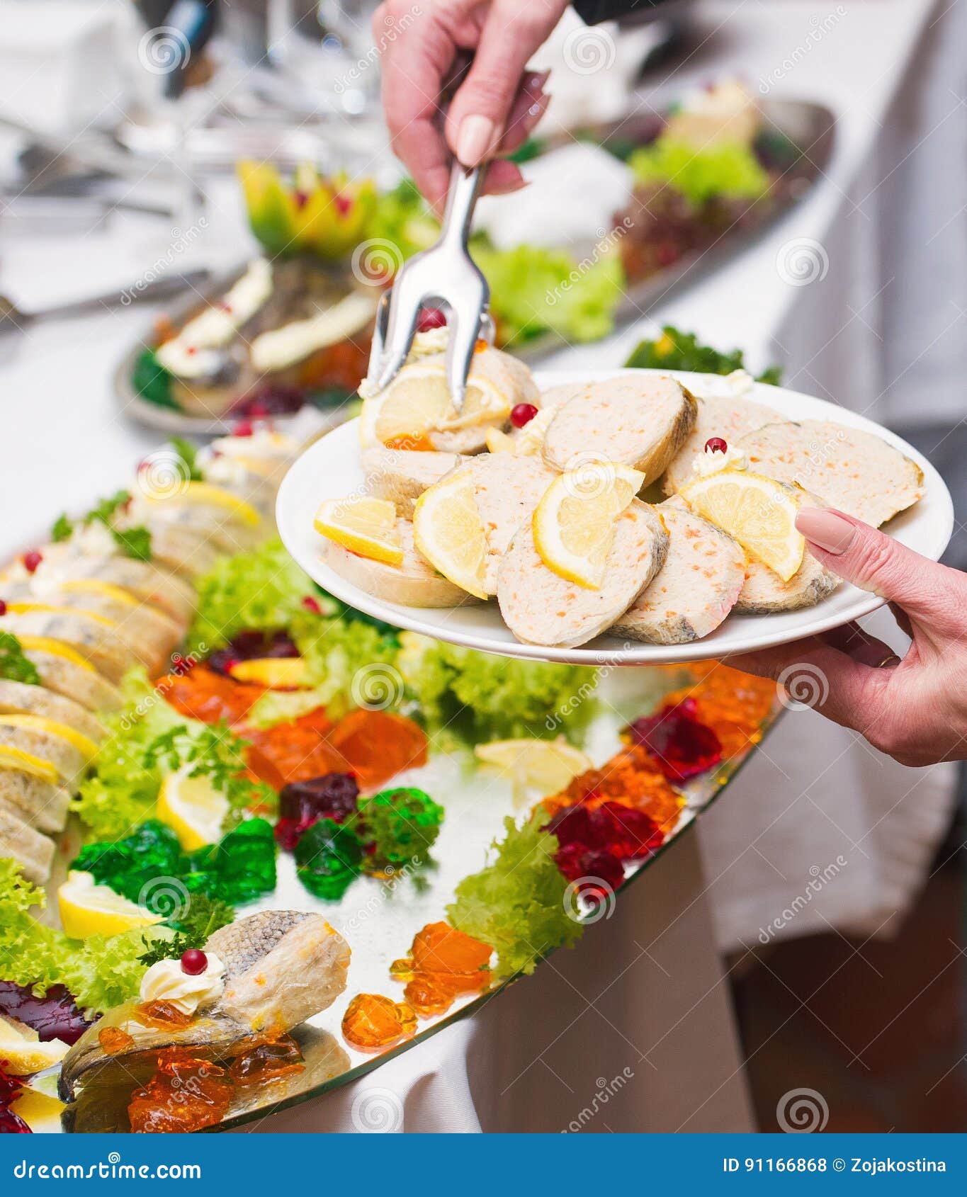 Serving fish in aspic stock photo. Image of healthy, food - 91166868