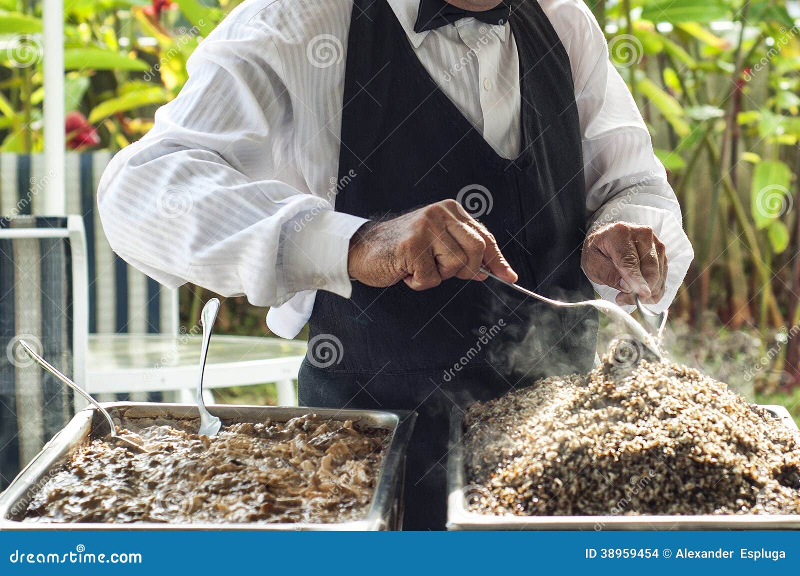 Serving food stock photo. Image of females, cafeteria - 38959454