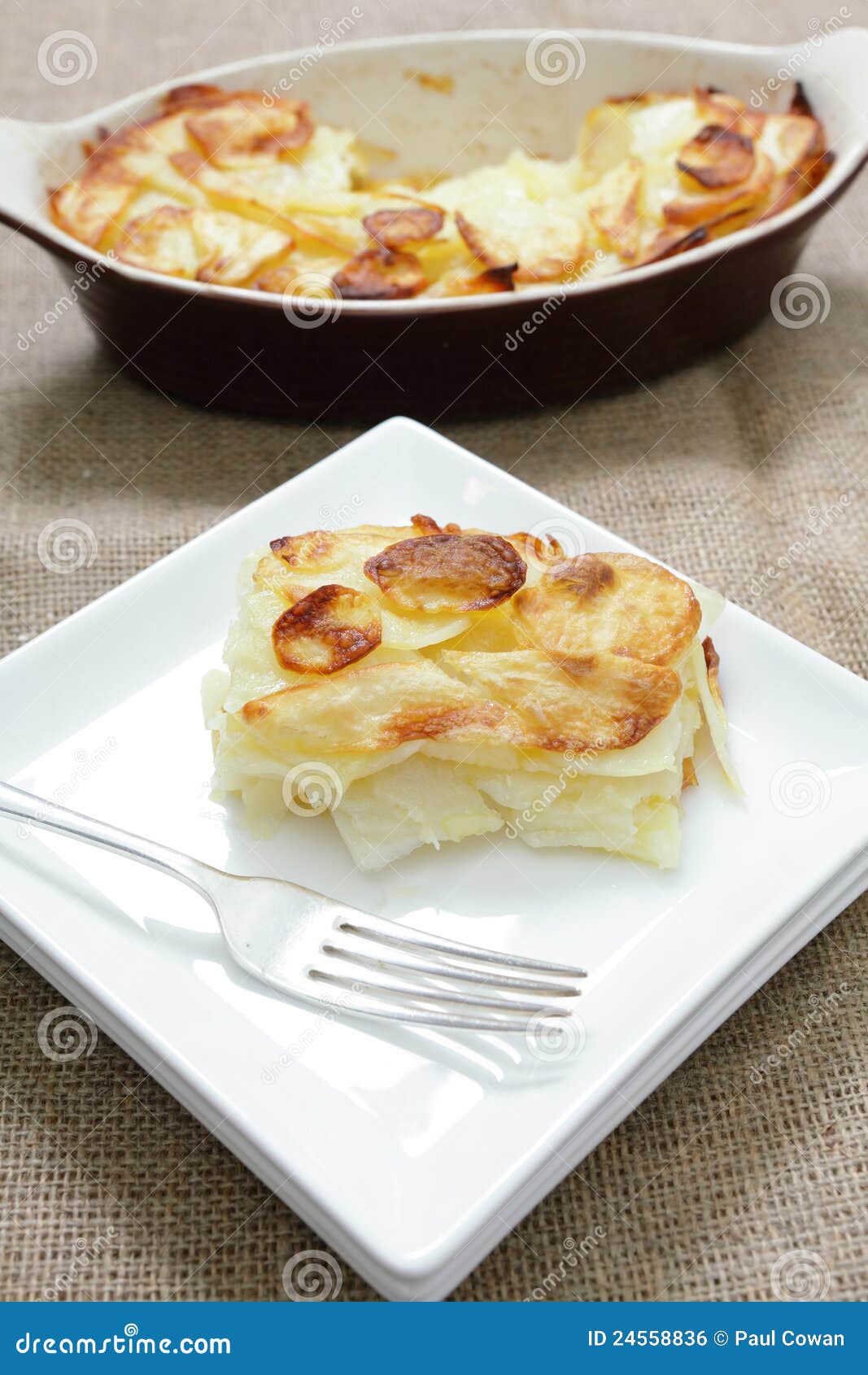 Serving potatoes anna stock photo. Image of cooking, bowl - 24558836