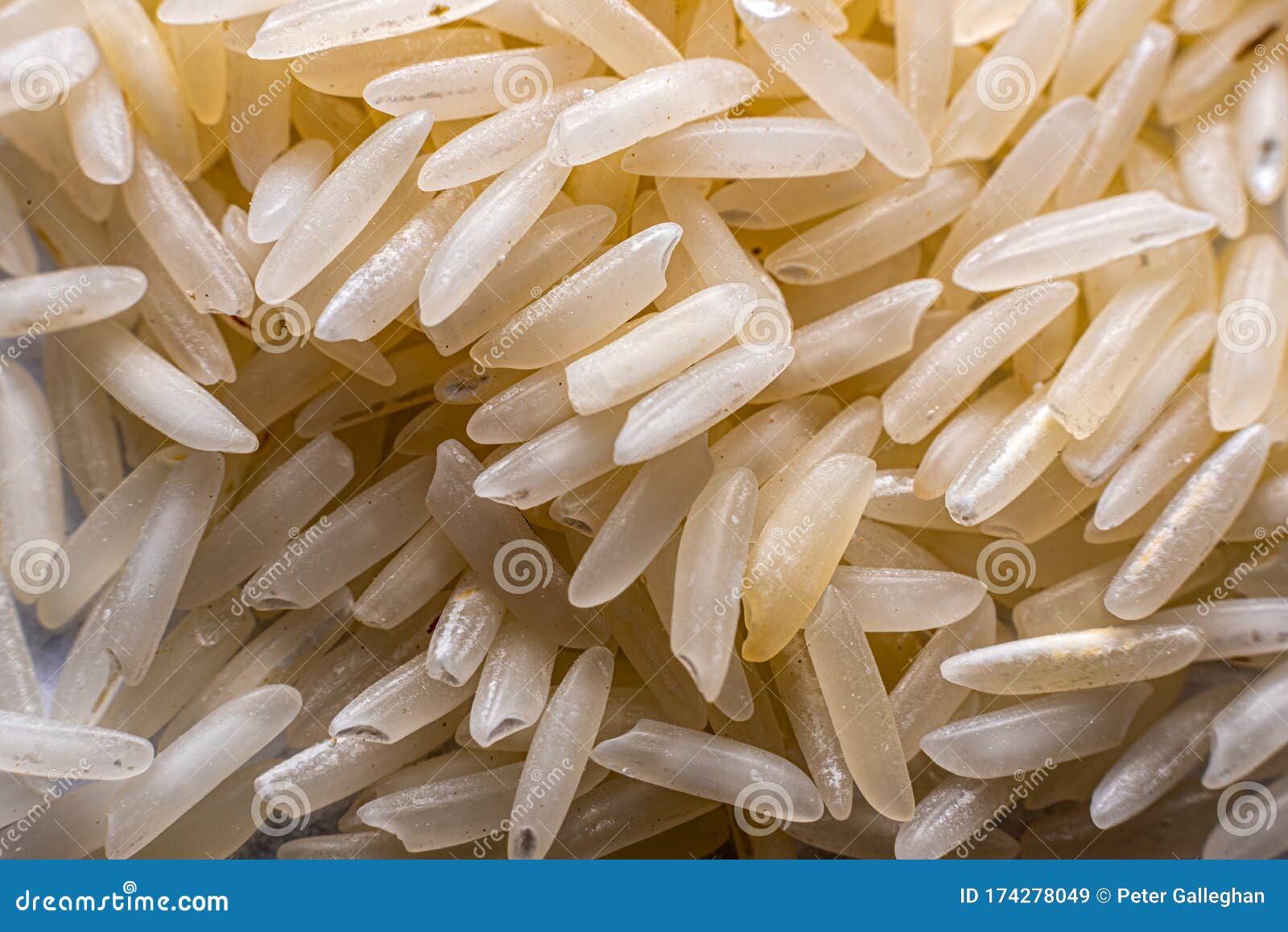 A Serving of of Rice Grains , Close Up Stock Image - Image of meal ...