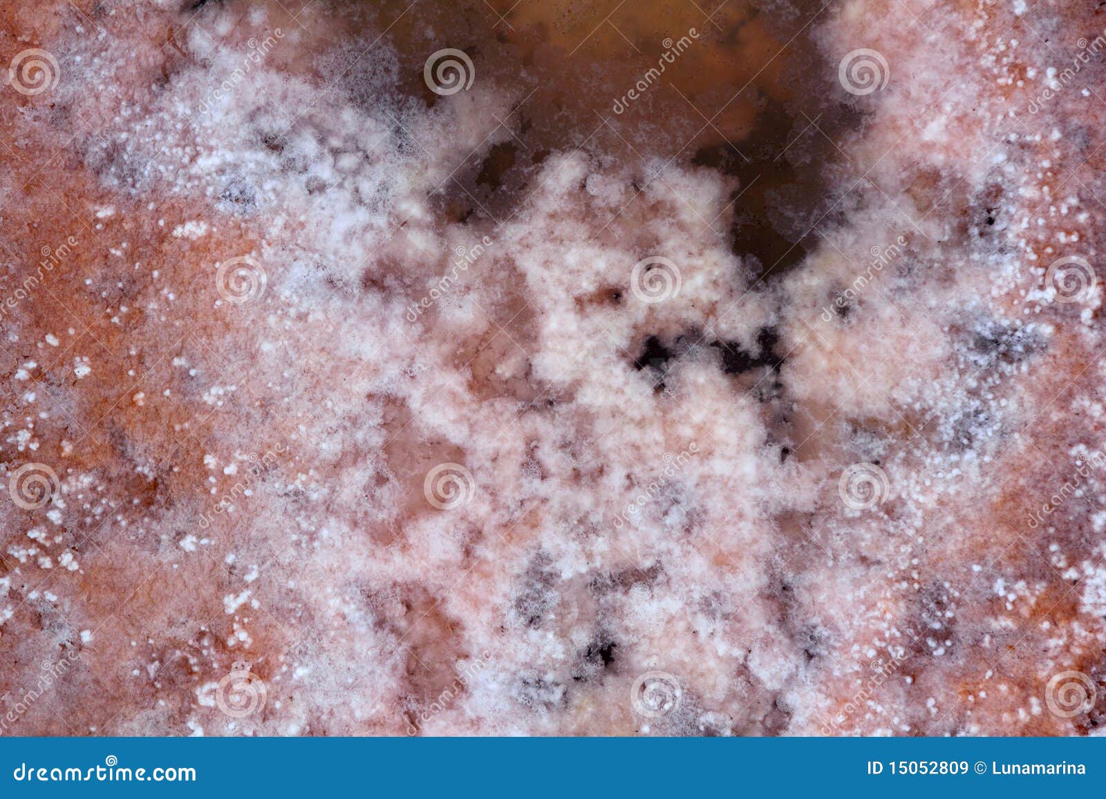 Salt Texture In Salt Ponds Royalty-Free Stock Photography ...