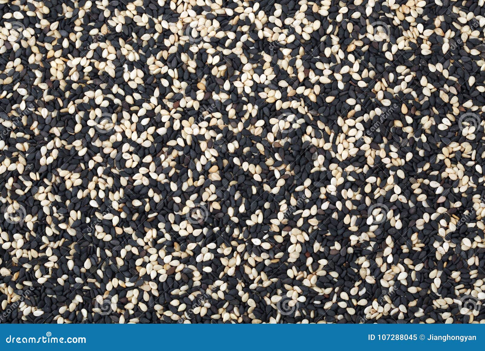 Sesam stock afbeelding. Image of zwart, zaden, opslag - 107288045