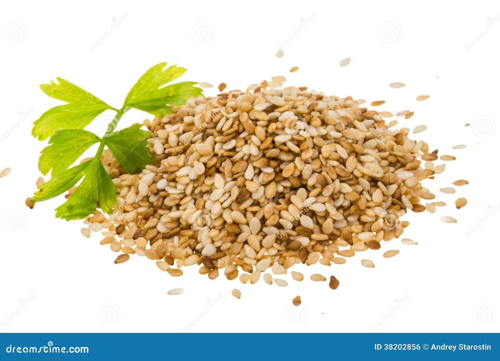 1,622 Sesam Photos - Free & Royalty-Free Stock Photos from Dreamstime