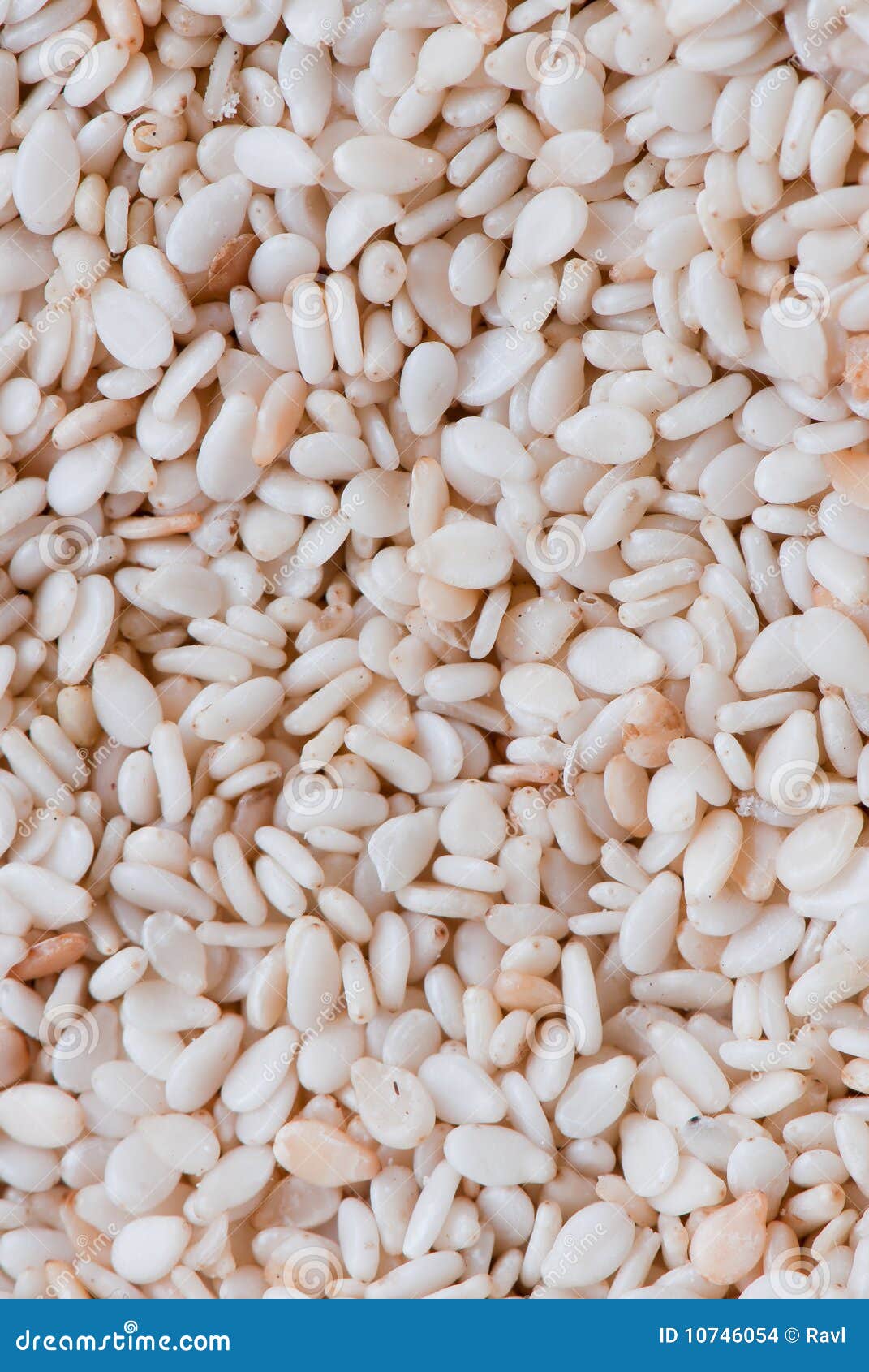 Sesame stock photo. Image of food, material, crop, ingredient - 10746054