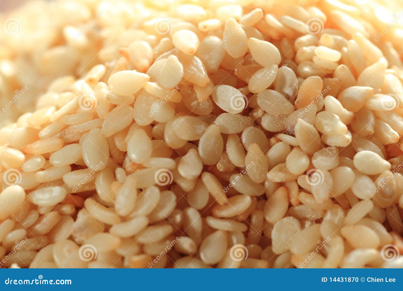Sesame stock photo. Image of macro, grain, garnish, brown - 14431870