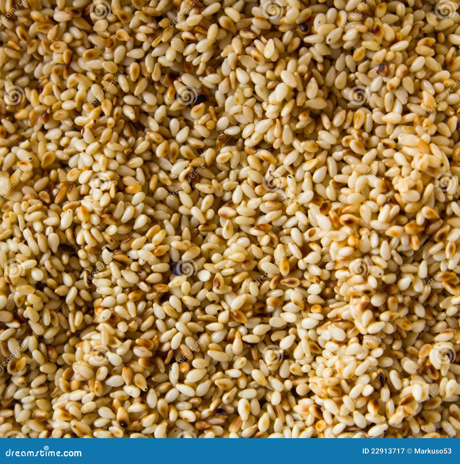 Sesame stock image. Image of texture, small, sesame, stack - 22913717