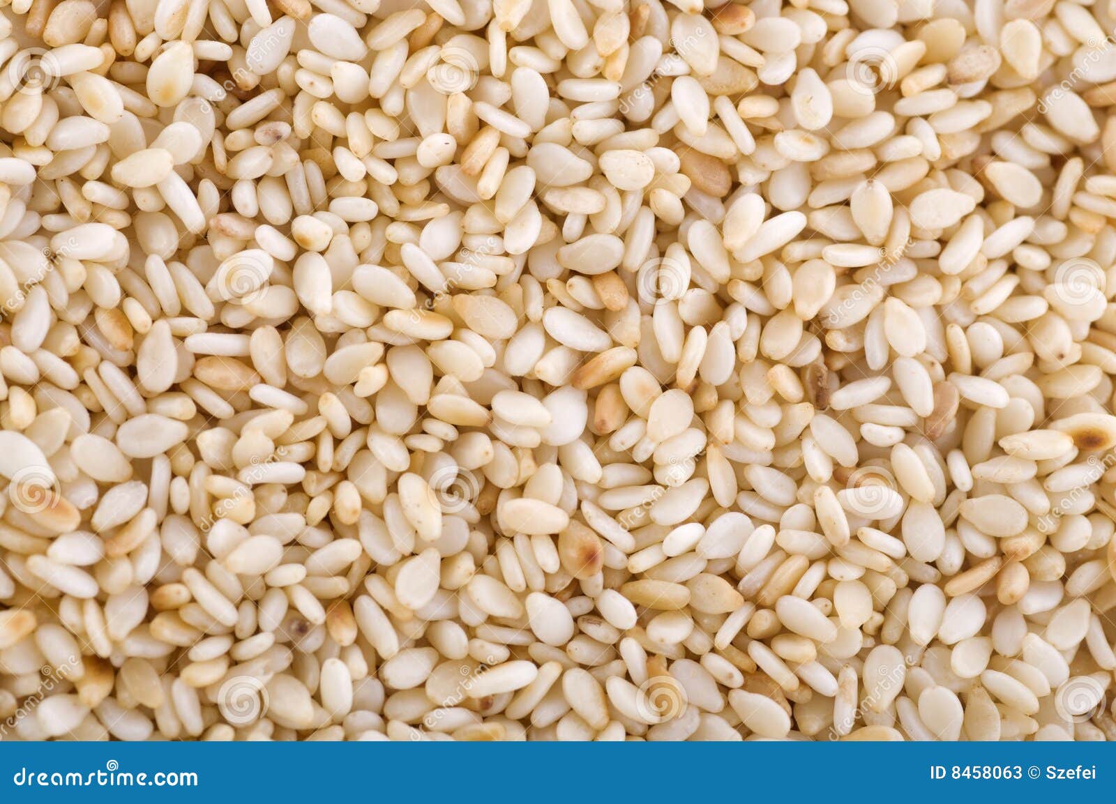 Sesame stock image. Image of condiment, ingredient, macro - 8458063