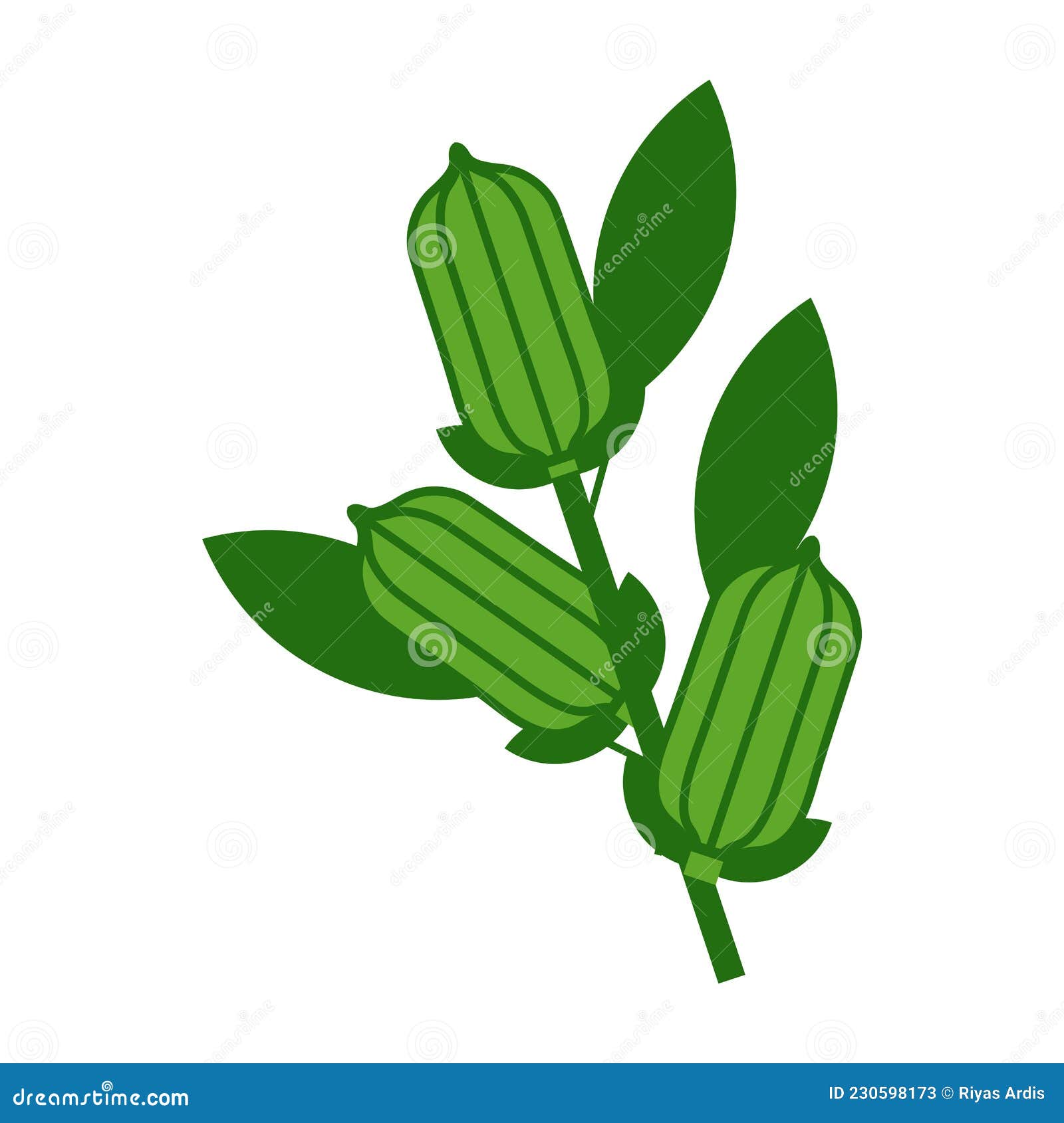 Sesame Also Known Gingelly Half With Seeds Vector Illustration Isolated ...