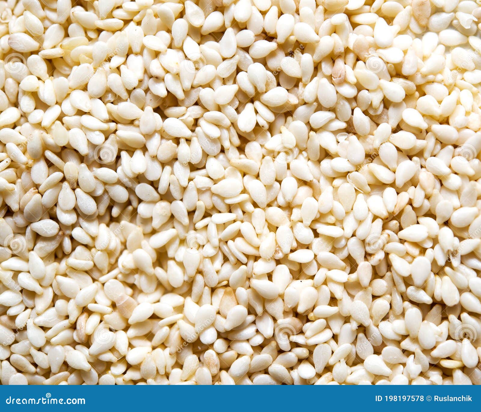 Sesame background stock photo. Image of abstraction - 198197578