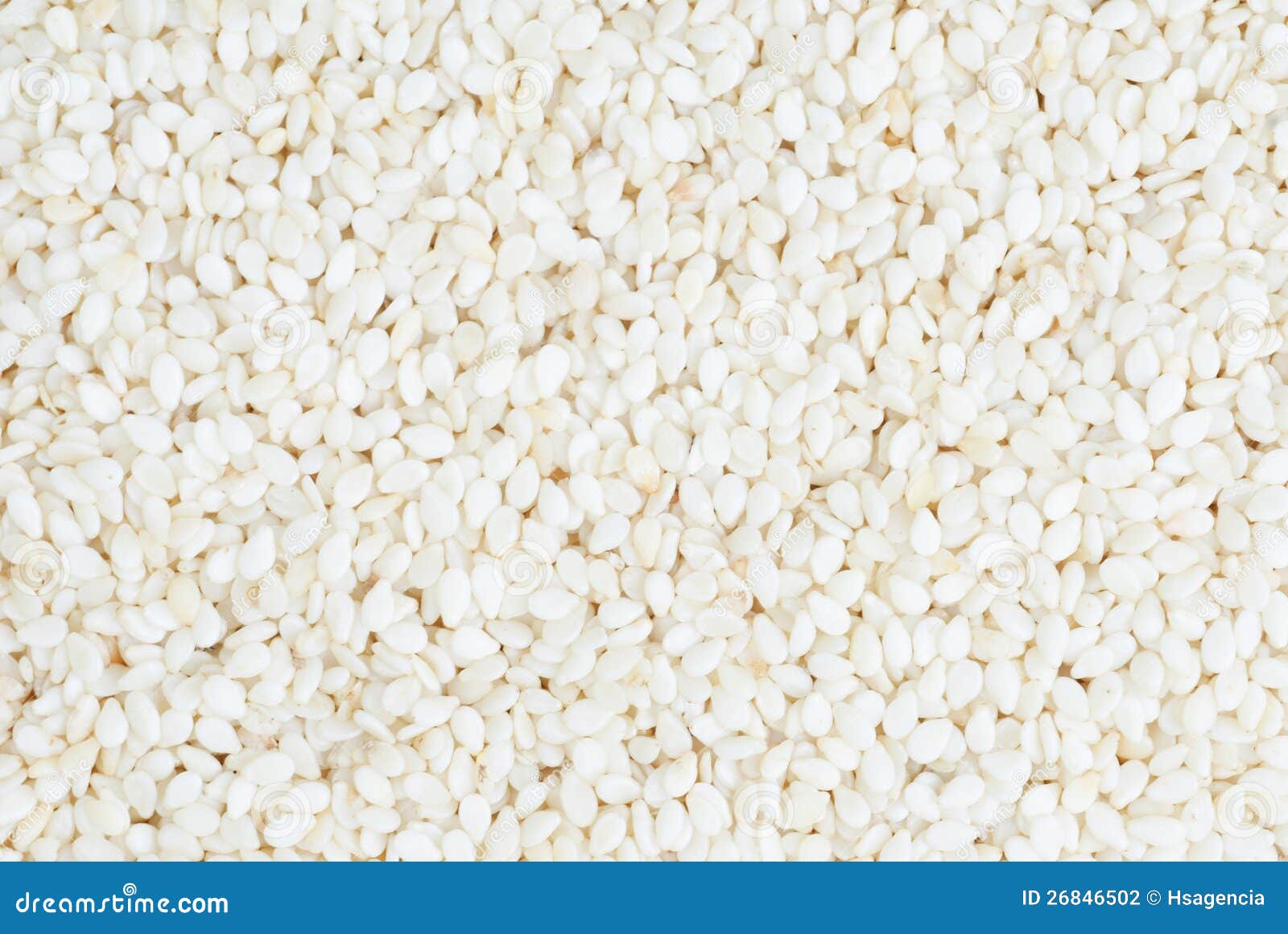 Sesame background, macro stock photo. Image of food, grain - 26846502