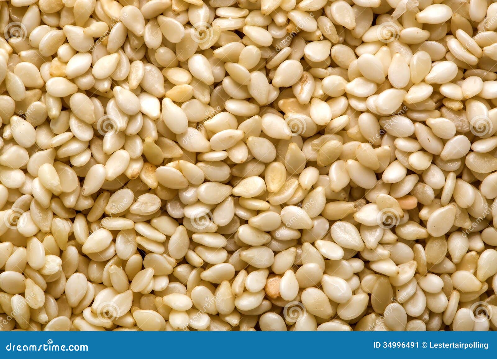 Sesame stock image. Image of groats, jinjili, grain, natural - 34996491