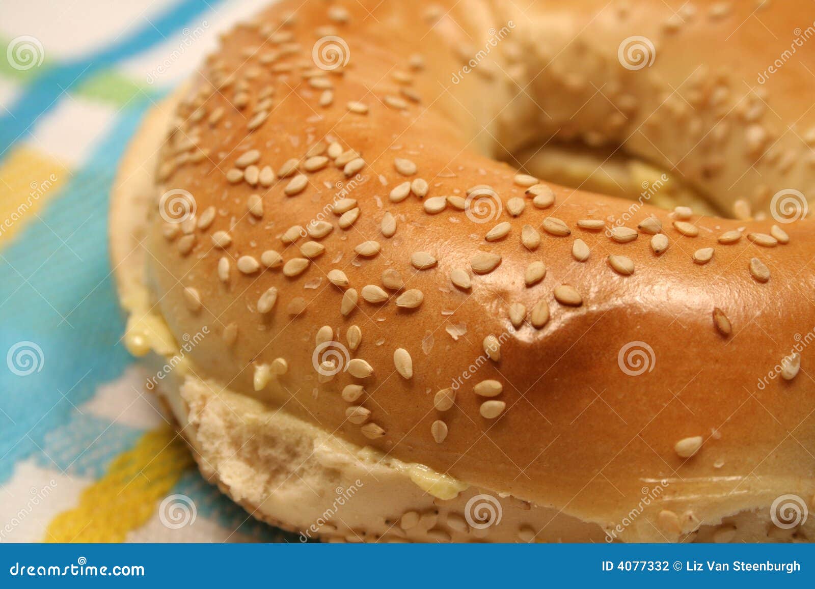 Sesame Bagel stock photo. Image of baked, buttered, seeded - 4077332