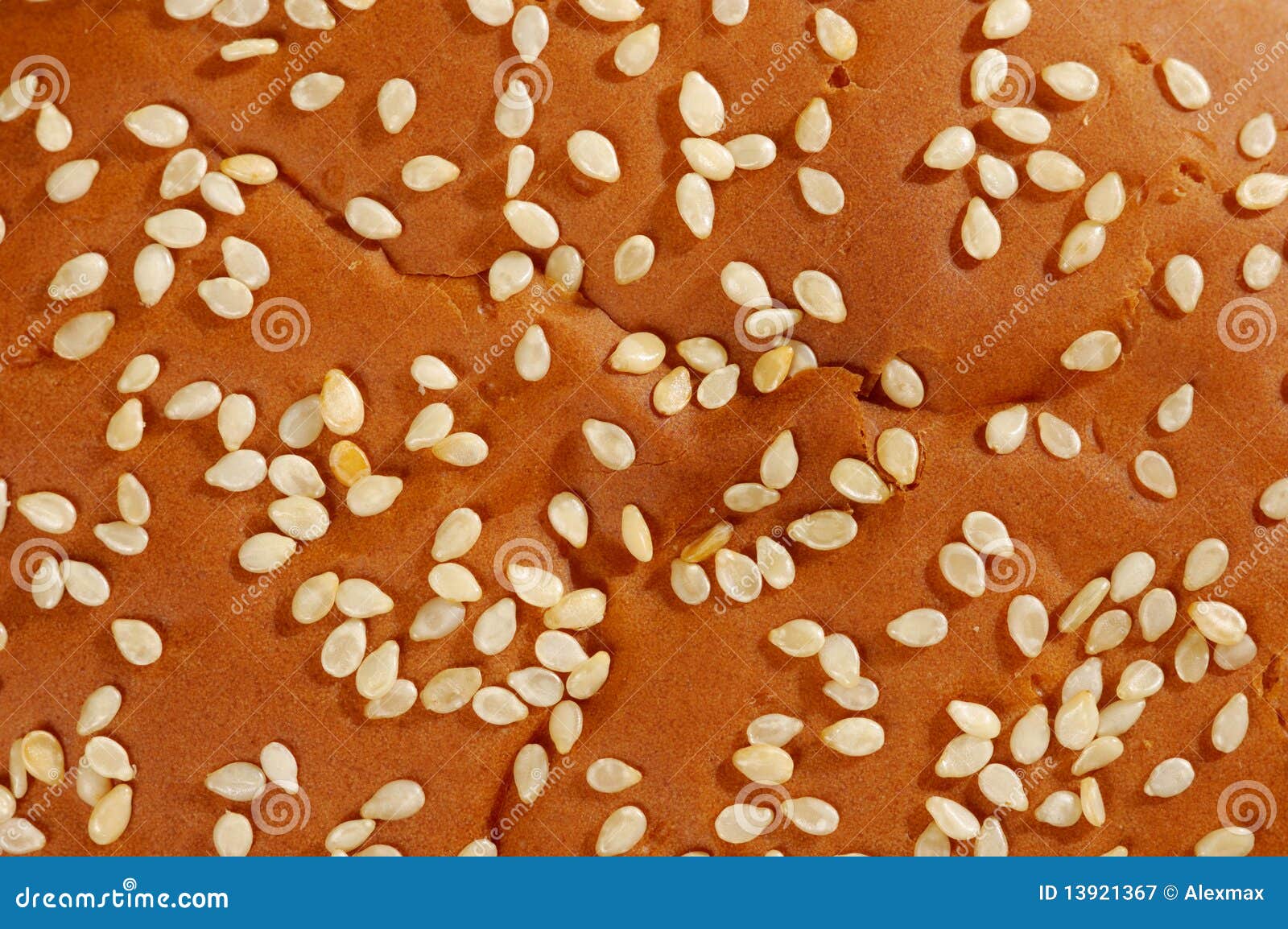 Sesame Bun stock image. Image of yellow, buns, appetizing - 13921367