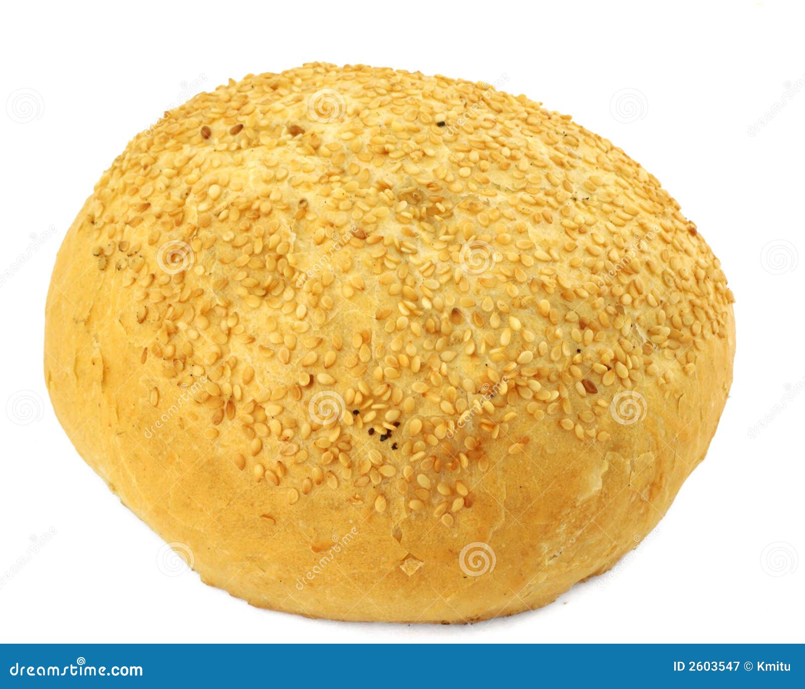 Sesame bun stock image. Image of macro, single, close - 2603547