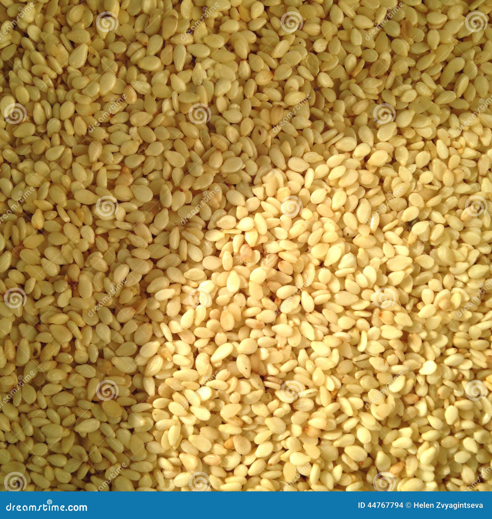 Sesame stock photo. Image of grain, lunch, agriculture - 44767794
