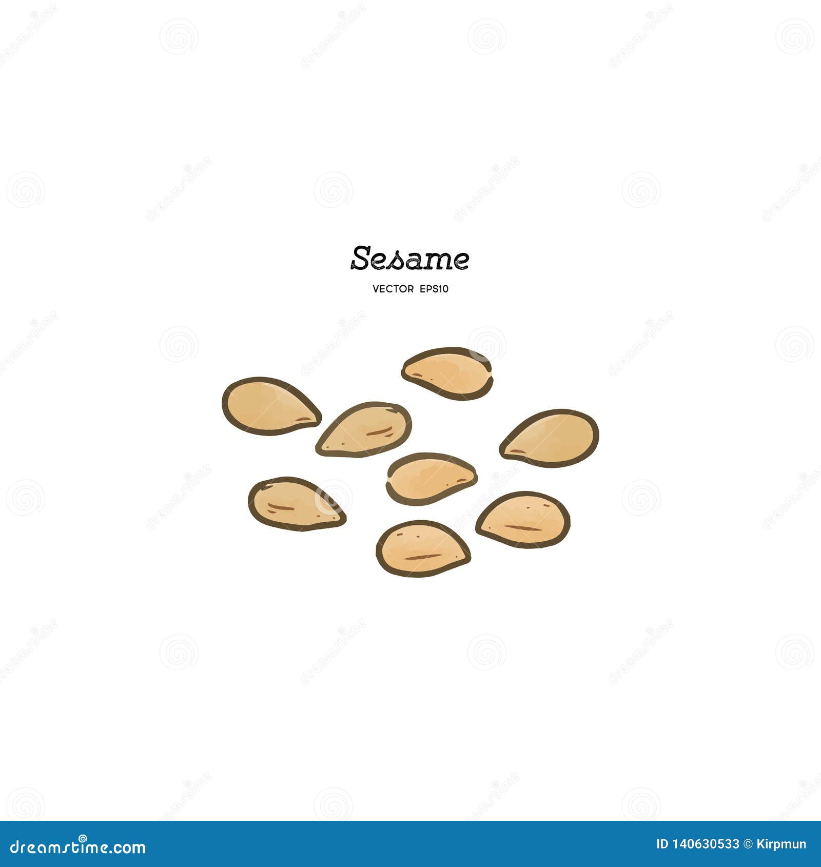 Sesame, hand draw vector stock vector. Illustration of drawn - 140630533