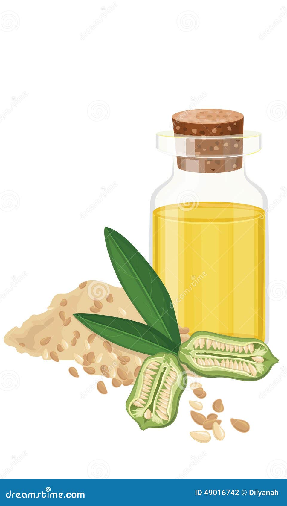Sesame Oil, Seeds, Fruit, Leaf, Vecctor Illustration Stock Vector ...