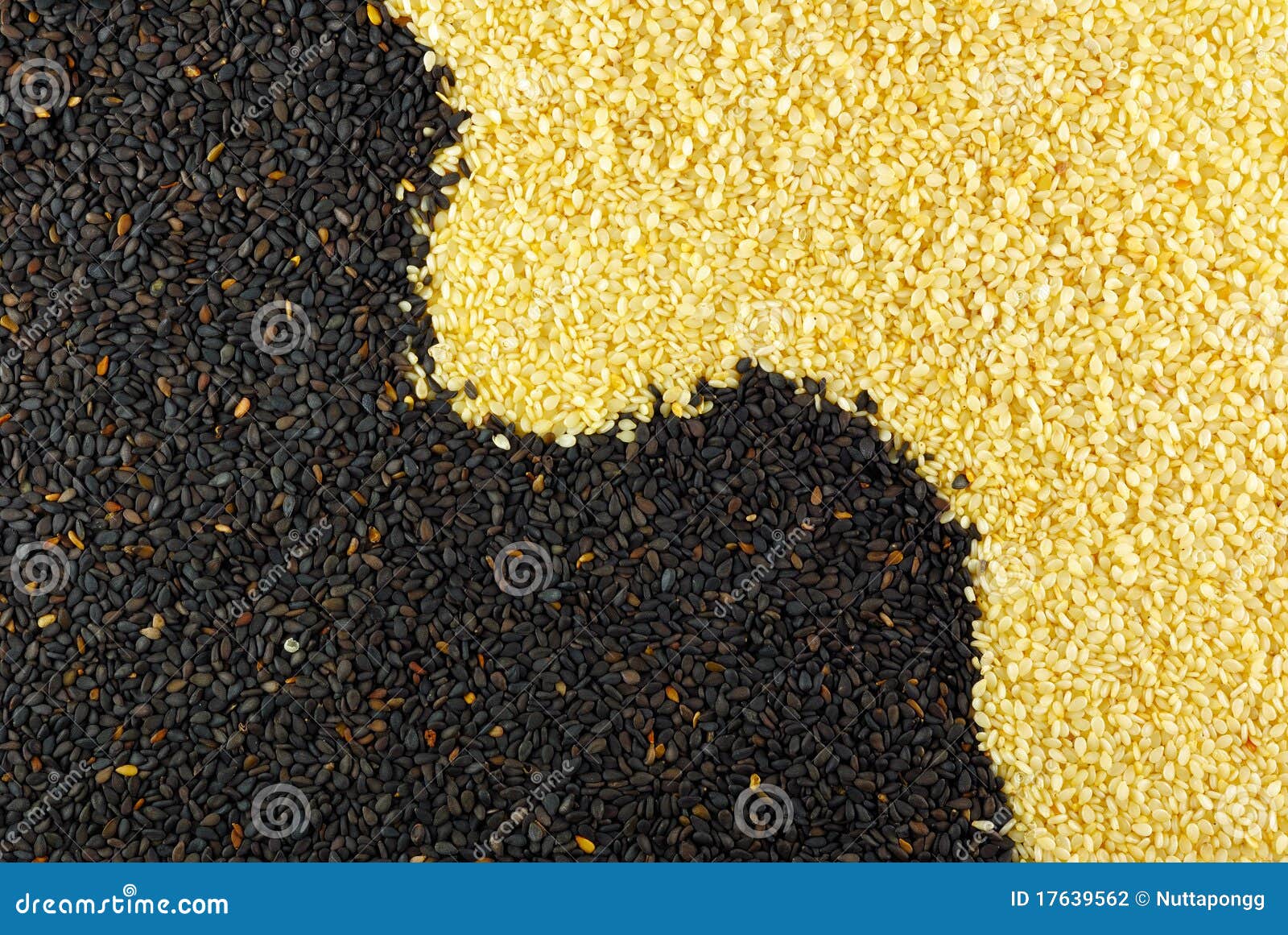 Sesame seed stock photo. Image of healthy, background - 17639562
