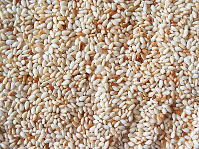 Sesame Seed stock photo. Image of object, food, healthy - 89160