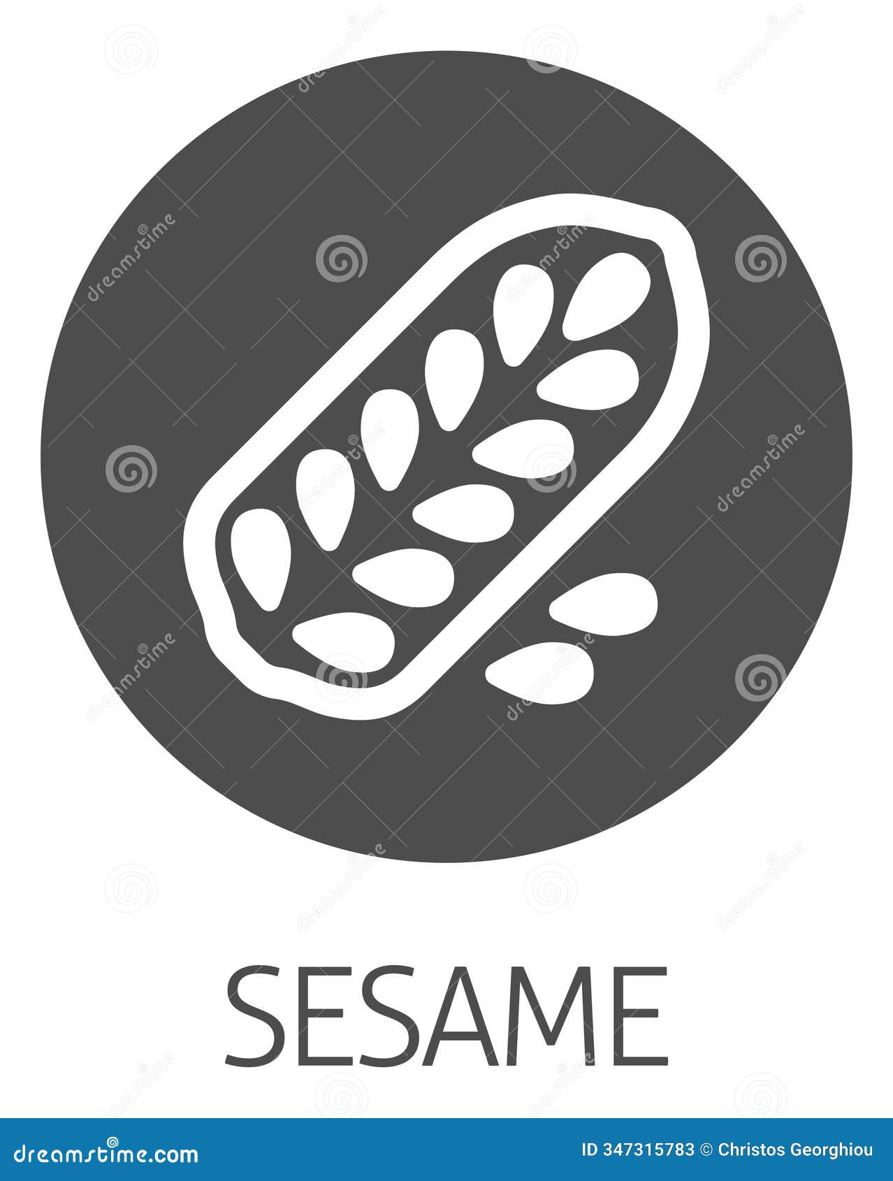 Sesame Seed Capsule Pod Food Allergen Icon Concept Stock Illustration ...