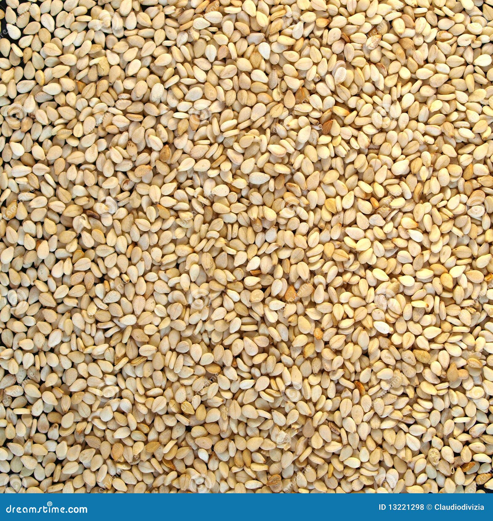 Sesame seeds stock photo. Image of yellow, vegetation - 13221298
