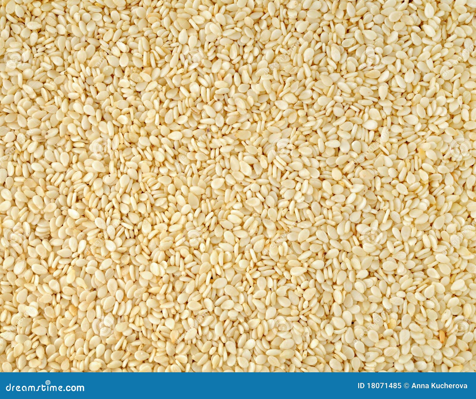 Sesame seeds stock image. Image of condiment, organic - 18071485