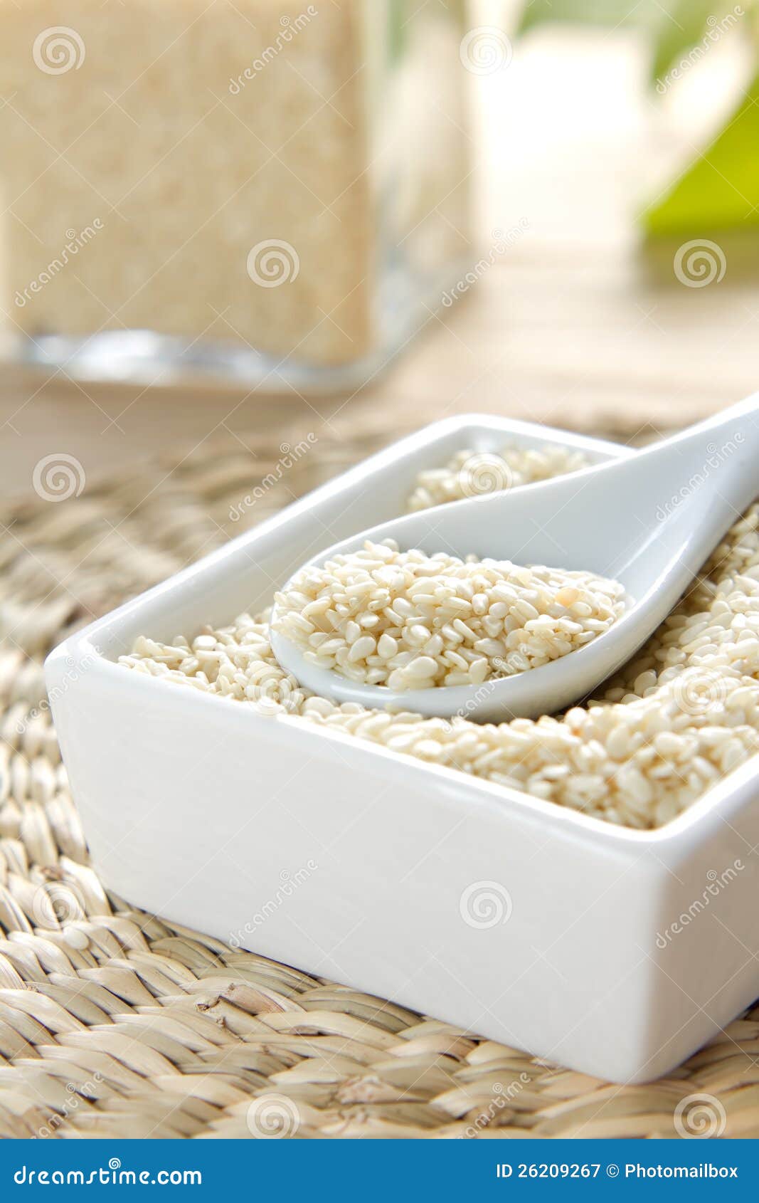 Sesame seeds stock image. Image of grain, round, closeup - 26209267