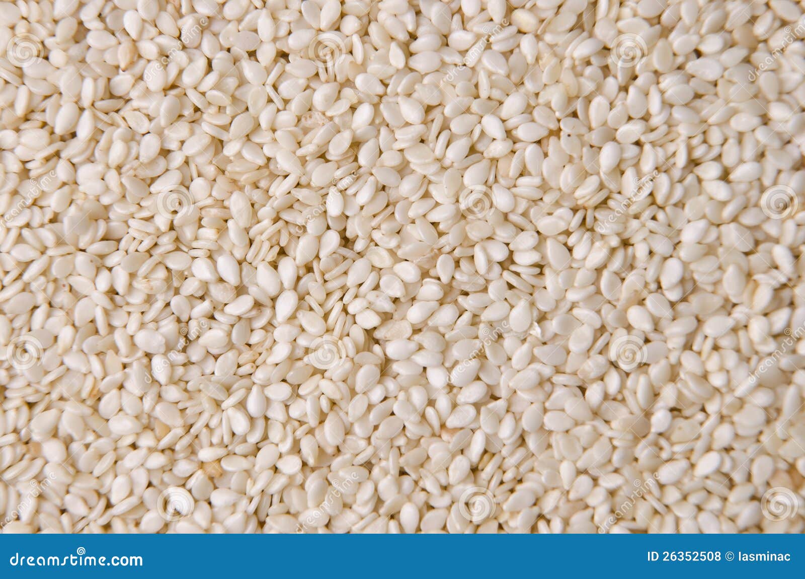 Sesame seeds stock photo. Image of kernel, food, brown - 26352508