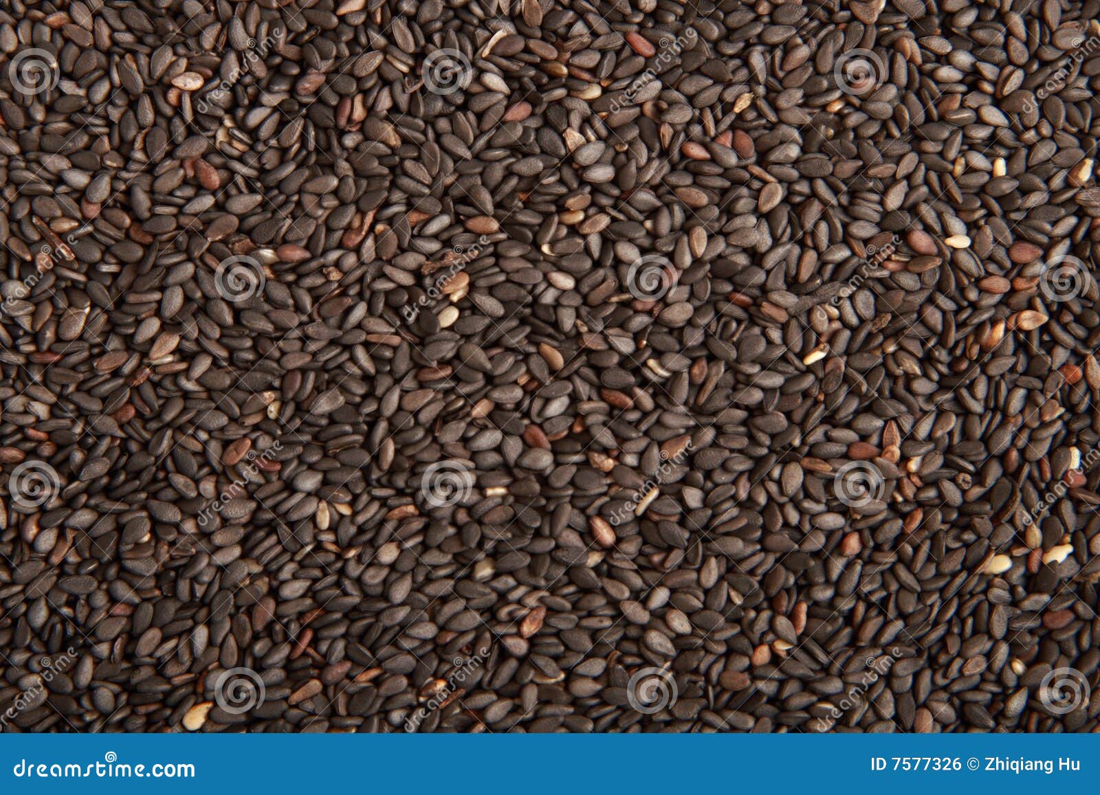 Sesame seeds backgrounds stock photo. Image of shot, backgrounds - 7577326