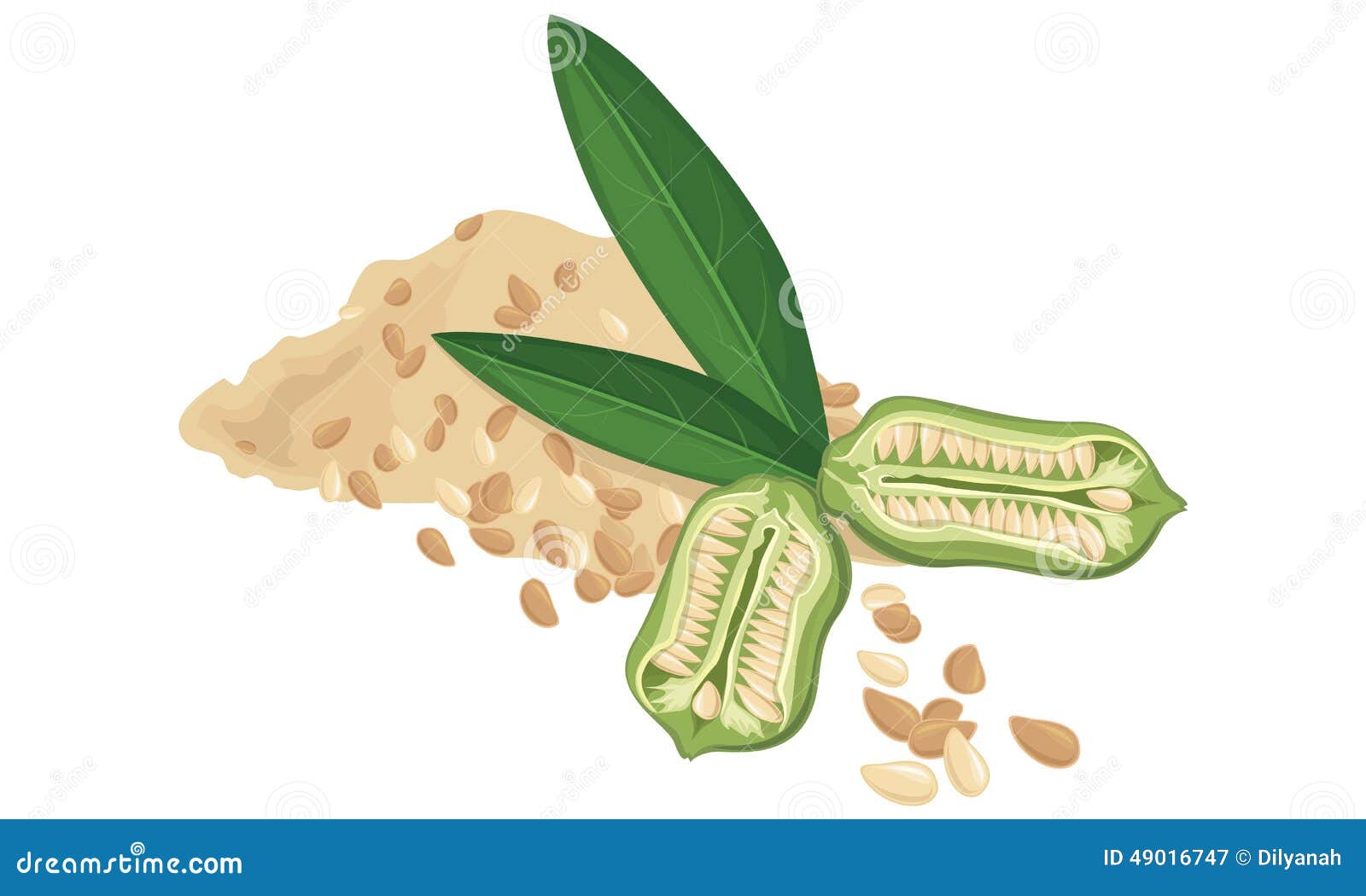 Sesame Seeds Flat Line Icon. Vector Thin Sign Of Nut, Healthy Food ...