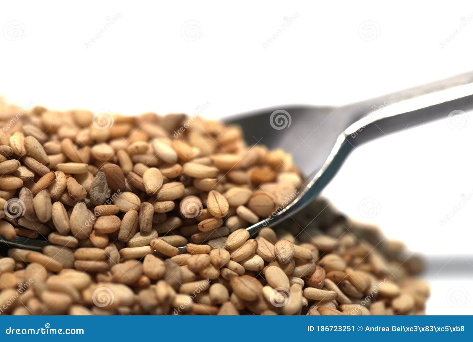 Sesame Seeds on a White Background Stock Image - Image of nature ...