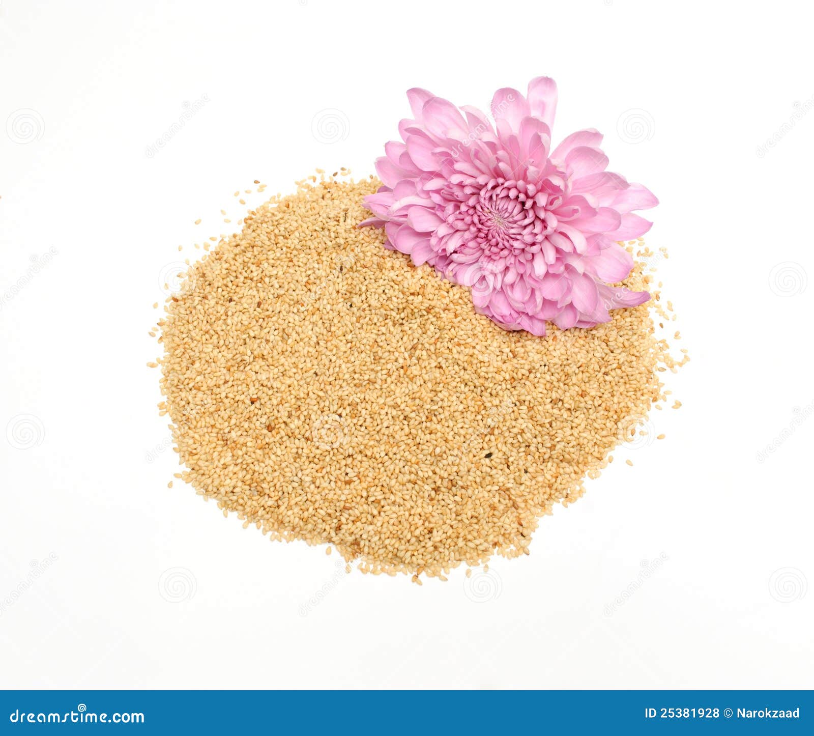 Sesame Seeds and Pink Dahlia Stock Photo - Image of flower, bowl: 25381928