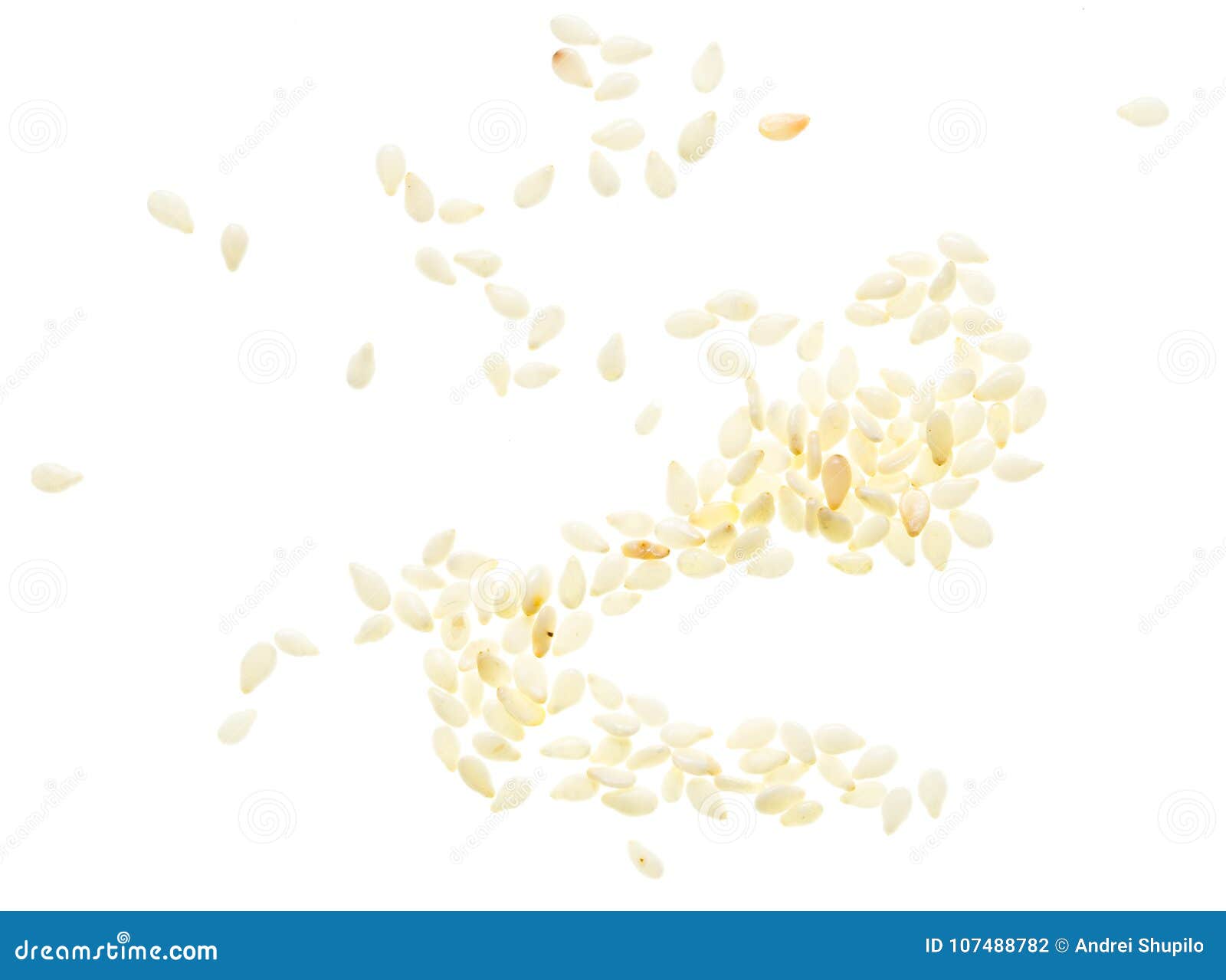 Sesame Seeds on White Background Stock Photo - Image of seed, grain ...