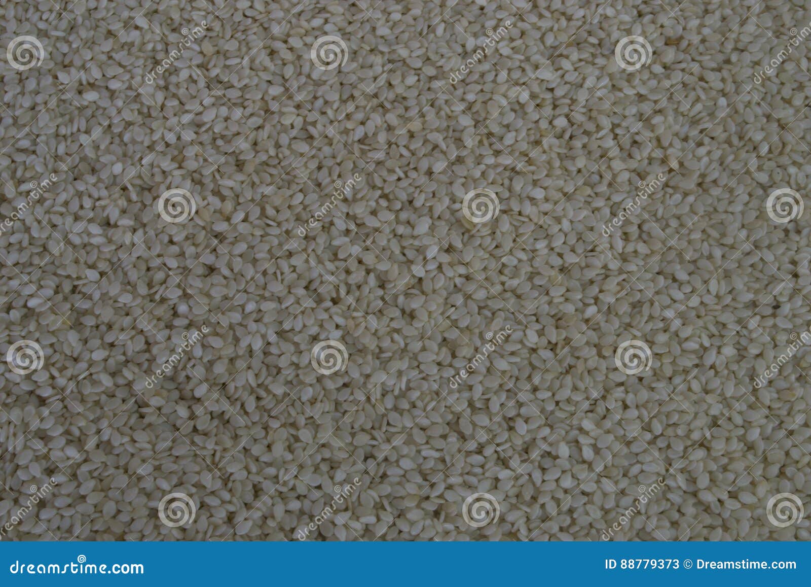 Sesame seeds stock image. Image of texture, flax, color - 88779373
