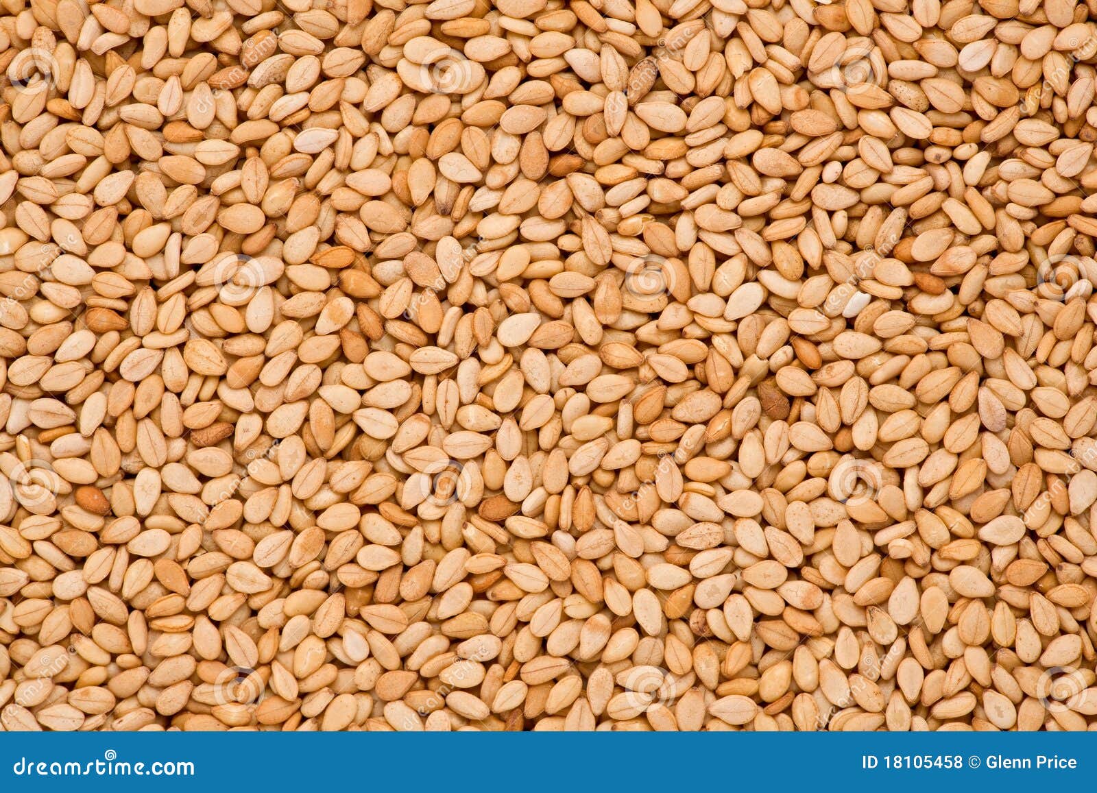 Sesame Seeds (Sesamum Indicum) Stock Photo - Image of texture ...