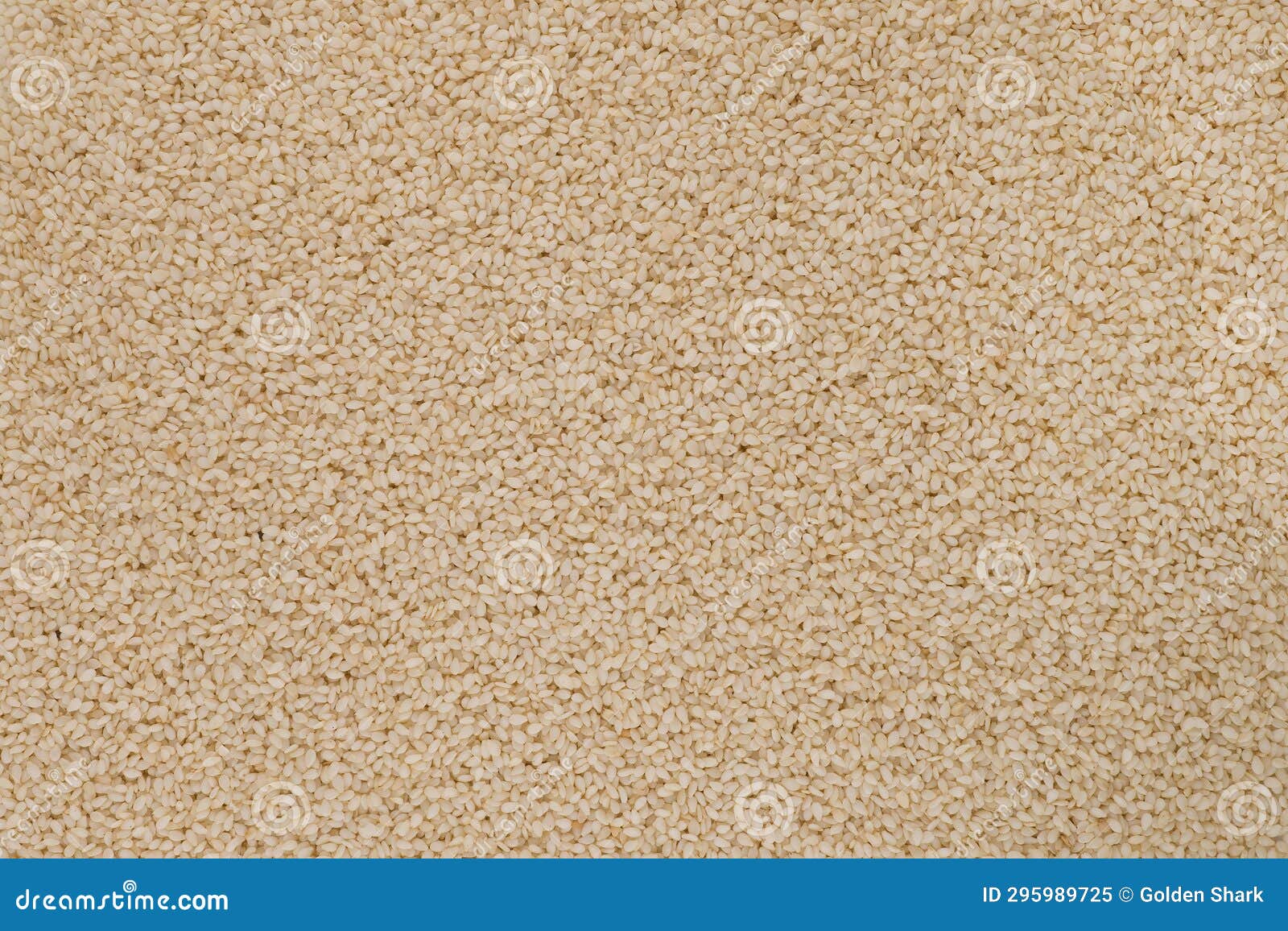 Sesame Seeds (Sesamum Indicum) Texture, Full Frame Background Stock ...